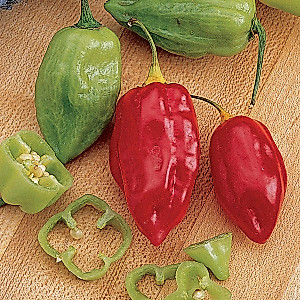 Burpee Caribbean Red Hot Pepper Seeds 30 seeds
