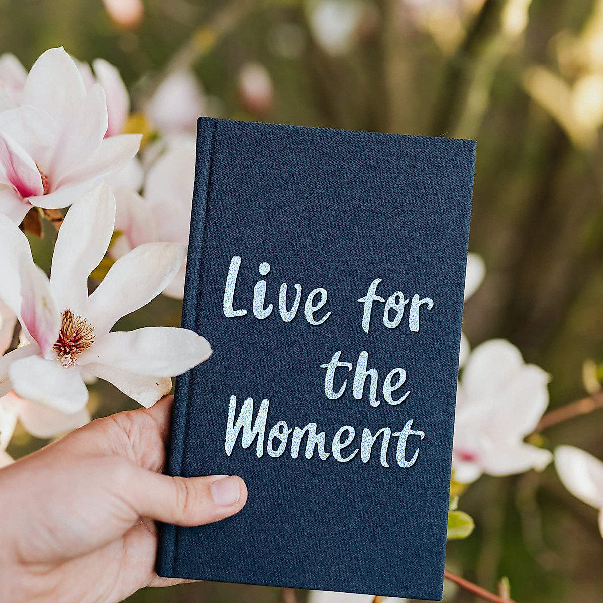 Waynoda 810 Pieces 10 Sheets Self-Adhesive Glitter Silver letter stickers, Alphabet Number Stickers, Decals for Sign, Mailbox, Notebook, Window, Classroom Decor, Door, Business, Address Number (1 Inch)