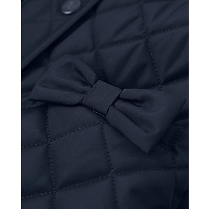 Gymboree Girls and Toddler Dressy Coat, Navy Slate, 7