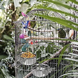 Okllen 4 Pack Bird Feeding Dish Cups, Detachable Stainless Steel Bird Food Bowls with Clamp, Bird Cage Feeder Hanging Pet Bowl for Chinchilla Parrot Cockatiel Conure Budgies Parakeet Small Animal