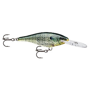 Rapala Shad Rap 07 Live Bluegill Lure, Multi, One Size (SR07BGL)