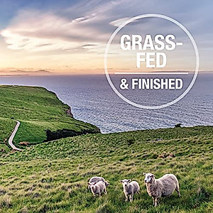 Feline Natural Grain-Free Freeze Dried Cat Treats, Lamb 1.76oz