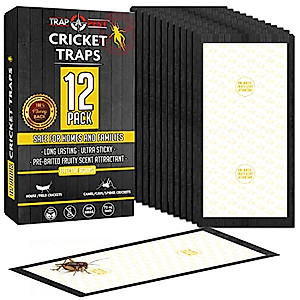 Cricket Traps Indoor (12 Traps) Extra Large Bug Sticky Traps - Non-Toxic Extra Sticky Glue Traps for Bugs - Pre-Baited Fruity Scent Crickets Bug Trap Indoor - Insect Glue Traps for Bugs - Trap a Pest