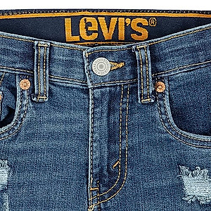 Levi's Boys' 510 Skinny Fit Destructed Jeans, Paper Shredder, 12