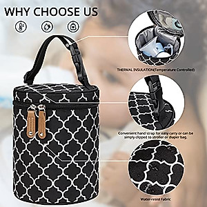 TRENDPLAY Breast Milk Cooler Bag Baby Bottle Insulated Tote Bag, Portable Bottle Warmer Storage Organizer for 2 Bottle, for Travel Stroller