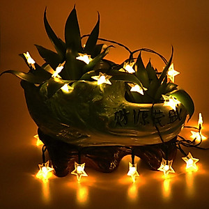 Winboom 100 Led 39.4FT Solar Christmas Lights Outdoor Waterproof 8 Modes Star Solar String Lights,Solar Powered Fairy Light for Outside Garden Tree