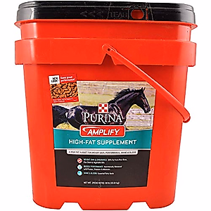 Purina Amplify | High-Fat Horse Supplement | Diet Enrichment Nuggets - 30 Pound (30 LB) Pail