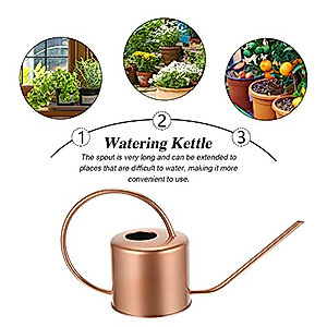 Watering can Spout Watering Pot Plant misting Water Bottle Kids Watering Spray Bottle Water Pitcher for Plants Kettle with Long Spout Child Outdoor Stainless Steel Succulent Plants
