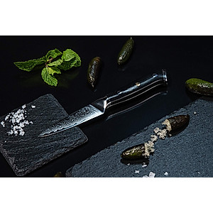 Oxford CHEF Paring Knife- 3.5 Inch - Damascus Japanese- VG10 Super Steel 67 Layer High Carbon Stainless Steel- Razor Sharp, Stain & Corrosion Resistant, Awesome Edge Retention