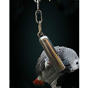 USQY Bird Toy Bell,Stainless Steel Bell Bird Toys,Stainless Steel Hanging Bell,Heavy Duty Bird Cage Toys for Parrots, African Greys, Mini Macaws, Small Cockatoos, Cockatiels & More (Small or Large)…