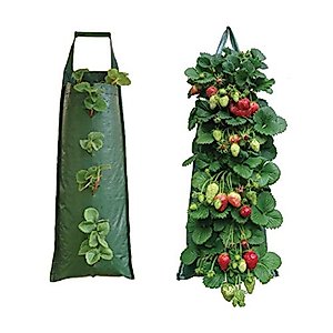 Nutley's Hanging Strawberry Growbag Planter (Pack of 2)