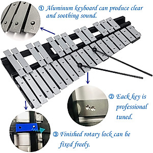 MIRIO 30 Notes Foldable Glockenspiel Xylophone Percussion Set, Glockenspiel Bell Kit With Carry Bag, Mallets for Beginner/Professional, Children Educational Percussion Musical Instrument (Silver)