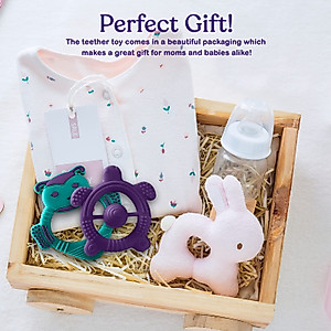 Baby Teething Toys for Newborn, Infants 0-6 Months Silicone Teethers for Babies 6-12 Months BPA Free (Bee - Purple & Turquoise)