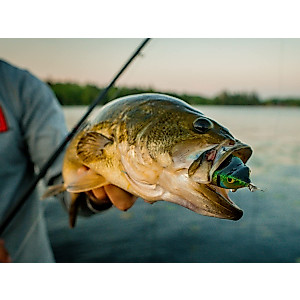 Northland Fishing Tackle Reed Runner Weedless Hollow Body Topwater Walking Frog for Bass Fishing, Mousey, 1.75" Length