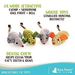 Raw Paws Catnip Cat Mouse Toys with Silvervine Stick (4-count) - Mouse Cat Toy for Indoor Cats - Silvervine Cat Toy, Interactive Cat Toy with Silvervine, Mouse Toy for Cats, Cat Mice Toys, Catnip Toys