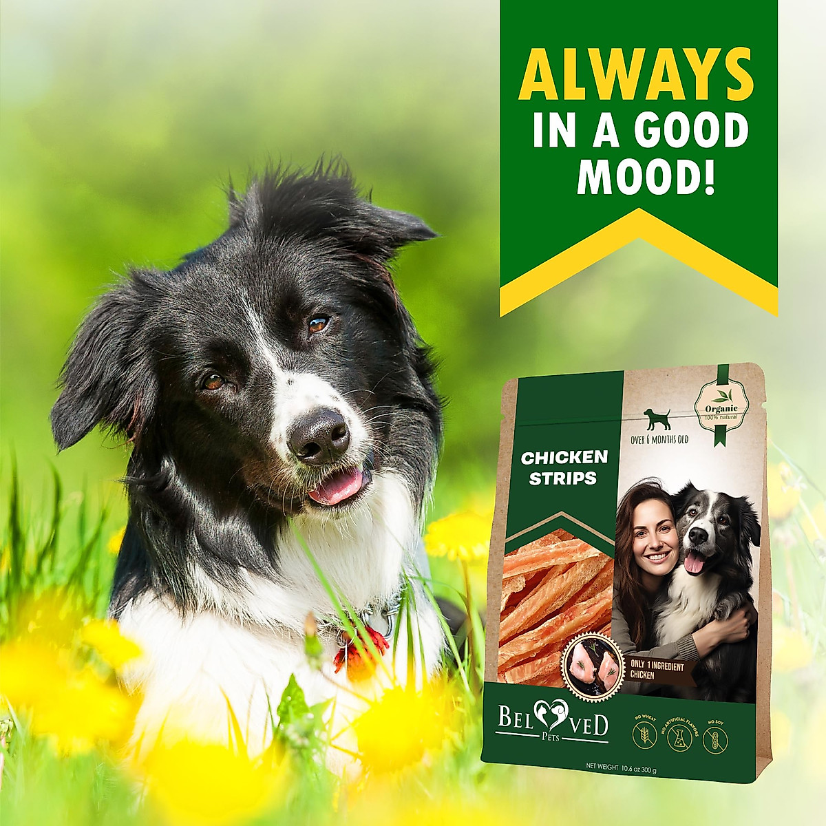 Beloved Pets Chicken Jerky Strips Dog Treats - Human Grade Meat Sticks - Natural Pet Dried Snacks Rawhide - Free - Long Lasting Chews for Large & Small Dogs - Best for Training & Healthy Teeth