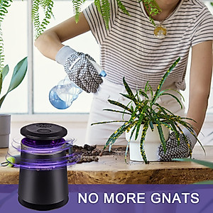 lanju Fly Traps for Indoors, Non-Zapper Mosquito Catcher Gnat Moth Fruit Flies Insect Trap with Strong Suction, Quiet Odorless Air Drying Home Mosquito Killer Bug Trap(Black-Round)