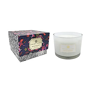 Trina Turk Spiced Mandarin 3 Wick Candle Jar 12.3 Ounces