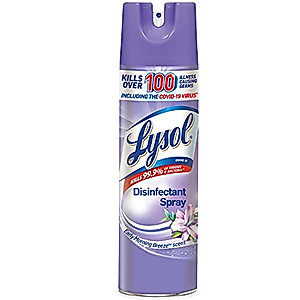Lysol Disinfectant Spray, Sanitizing and Antibacterial Spray, For Disinfecting and Deodorizing, Early Morning Breeze, 19 Fl Oz, (Packaging May Vary)