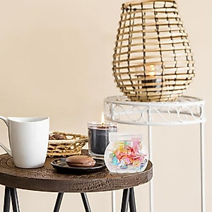 Mini Halloween Candy Jar Plastic Halloween Candy Jars with Lids 20PCS Pumpkin Shaped Clear Cookie Jar Container Storage Jars for Coffee Bean Nut Spices Canister Party Sweet