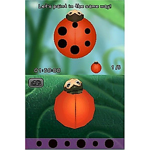 Disney Fairies: Tinker Bell - Nintendo DS (Renewed)