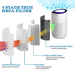 Air Purifiers for Home Large Room up to 1076 sq.ft, 400+m³/h UV Light for removing Allergens, Smoke, Dust, Odors, Pollen, Pet Dander