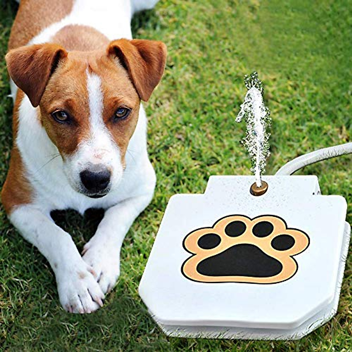 Dog Water Fountain Step On Toy,Easy Paw Petal Activated Dog Steps Eco-Friendly Pet Water Fountain Drinking Pet Dispenser Dog Water Sprinkler,Automatic Water Dog Fountain for Big/Small Dogs