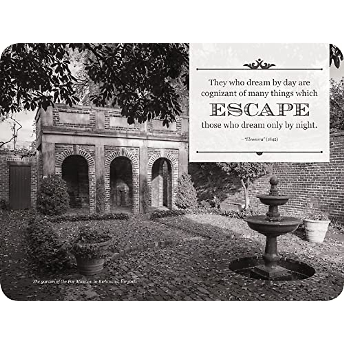 The Edgar Allan Poe Signature Notebook: An Inspiring Notebook for Curious Minds (The Signature Notebook Series)