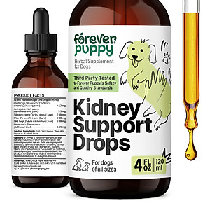 Kidney Support for Dogs - Kidney Health Drops w/Cordyceps Mushroom & Stinging Nettle Leaf - Liquid Alternative to Kidney Dog Treats - Natural Dog Food Supplements for Kidney Care - 4 oz