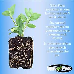 Fernwood Orchid Growing Medium and Reptile Substrate- Natural, Organic, Long Lasting | for Orchids and Other Epiphytes | Use in Terrariums and Vivariums | 10 Liters (9.1 U.S. Quarts)