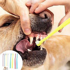 XIHIRCD 8pcs Pet Toothbrush, 3 Styles Cat & Dog Toothbrush Micro Brush Head Puppy Mini Toothbrush Soft Bristle Small Dog Dental Clean Kit for Teeth Clean Plaque Tartar Formation (Colour 3)