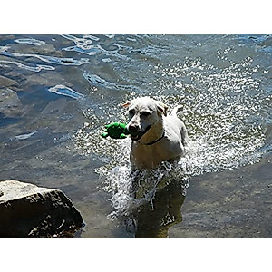 Cycle Dog Small Fuchsia 3-Play Turtle Dog Toy with Ecolast Recycled Material - Tough & Sustainable Chew Toy for Dogs & Puppies/Treat Dispenser/Floats Above Water/Indestructible for Aggressive Chewers