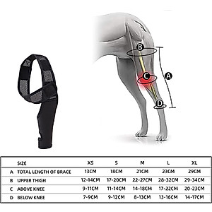 PEIFUKO Dog Knee Brace, Joint Braces to Protect The Knee, postoperative Rehabilitation Braces for securing Leg Straps (XL)