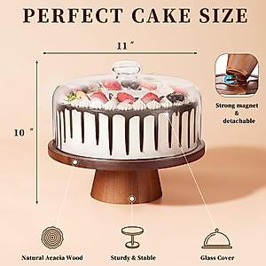 VIVIRBIEN Wood Glass Cake Stand with Dome, 2-in-1 Magnetic Cake Stand with Lid-Multifunctional Cake Plate with Cover for Birthday/Kitchen/Party/Charcuterie Board 11IN
