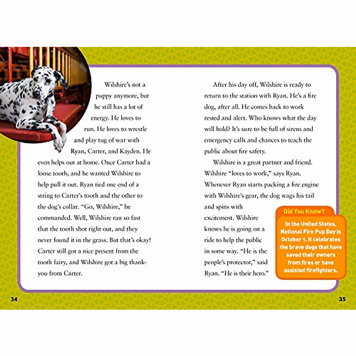 National Geographic Kids Chapters: Hero Dogs (NGK Chapters)