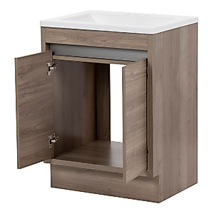 Spring Mill Cabinets Tarni Small Bathroom Vanity with 2-Door Cabinet and White Vanity Top with Sink, 24.5" W x 18.75" D x 32.89" H, Forest Elm