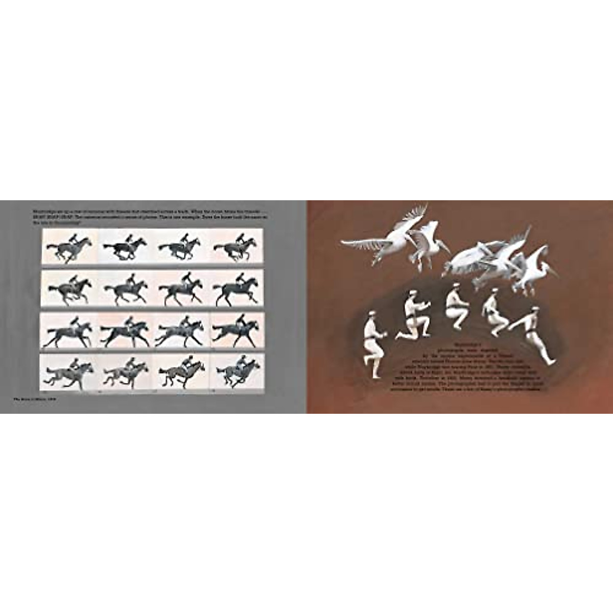 Action!: How Movies Began