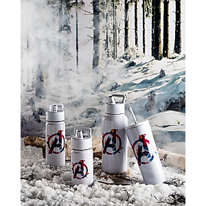 Simple Modern Marvel Avengers Kids Avengers Water Bottle with Straw Lid | Insulated Stainless Steel Reusable Tumbler Gifts for School Toddlers Boys | Summit Collection | 14oz, Avengers Assemble