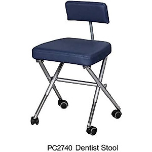 REEHUT Portable Patient Chair with Tray with Integrated LED Exam Light with Dentist Stool + Nylon Bag