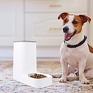 POPETPOP Automatic Cat Food Dispenser Automatic Cat Feeder Food Dispenser: Pet Dry Food Dispenser Dog Food Bowls Pet Feeding Container for Cats Dogs and Other Animals Dog Feeding Bowls