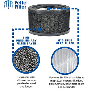 Fette Filter -Pack of 2 Replacement Air Purifier True HEPA Filters with Pre Filter Layer Compatible with Germ Guardian FLT4200 Filter L for GermGuardian Air Purifer Model AC4200W