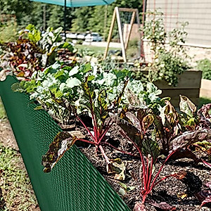 UCandy Pack 2 of Raised Garden Bed with 3 Partition Grids,Durable PE Fabric Planters Grow Bags,Suitable for Potato,Tomato,Flower,Vegetable Plant Container (2)