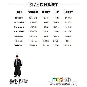 Harry Potter Infant Baby Boys Fleece Pullover Hoodie Bodysuit and Pants 3 Piece Outfit Set Maroon 12 Months