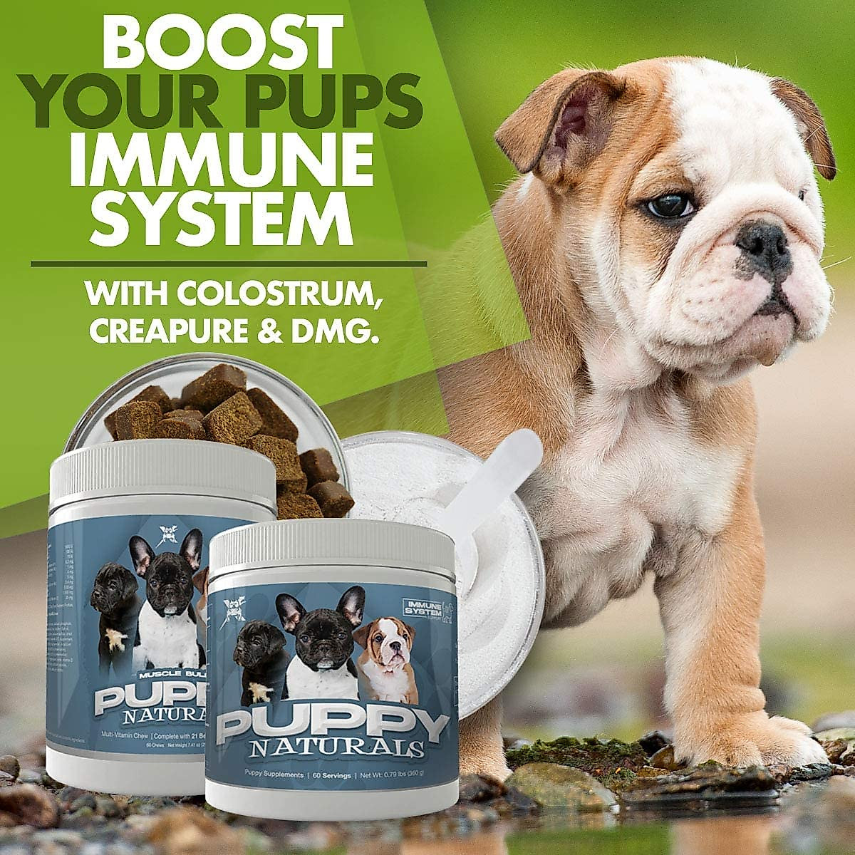 Muscle Bully Puppy Naturals | Muscle Building Immunity Milk Replacer + 10 in 1 Puppy MultiVitamin Nutrient Chew | Veterinarian Formulated. Nutritional Support for Growing Puppies (60 Servings).