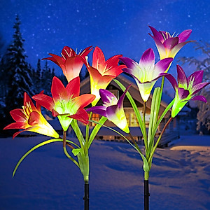GIGALUMI Solar Flower Gift, Gifts for mom, 8 Solar Lily Flower, Solar Landscape Light, Birthday Gifts for Family and Friends, Grandma Gifts, Mother's Day Gifts,(1 Purple, 1 Red
