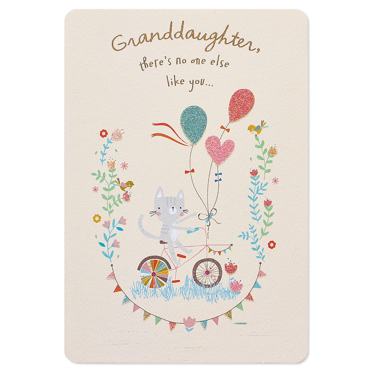 American Greetings Birthday Card for Granddaughter (No One Else Like You)