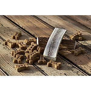 Buck Bone Organics Dog Biscuits, Made with Real Antler and Organics Ingredients (Mini's 16 OZ)