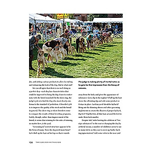 The Golden Retriever: An Authoritative Look at the Breed's Past, Present, and Future (CompanionHouse Books) In-Depth History in the U.S. and U.K., the AKC Standard, and More (Kennel Club Classics)