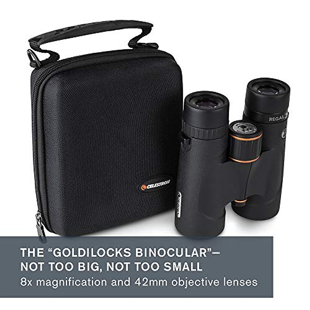Celestron – Regal ED 8x42 Binocular – ED Binoculars for Birding, Hunting and Outdoor Actvities – Phase and Dielectric Coated BaK–4 Prisms – Fully Multi-Coated Optics – 6.5 Feet Close Focus