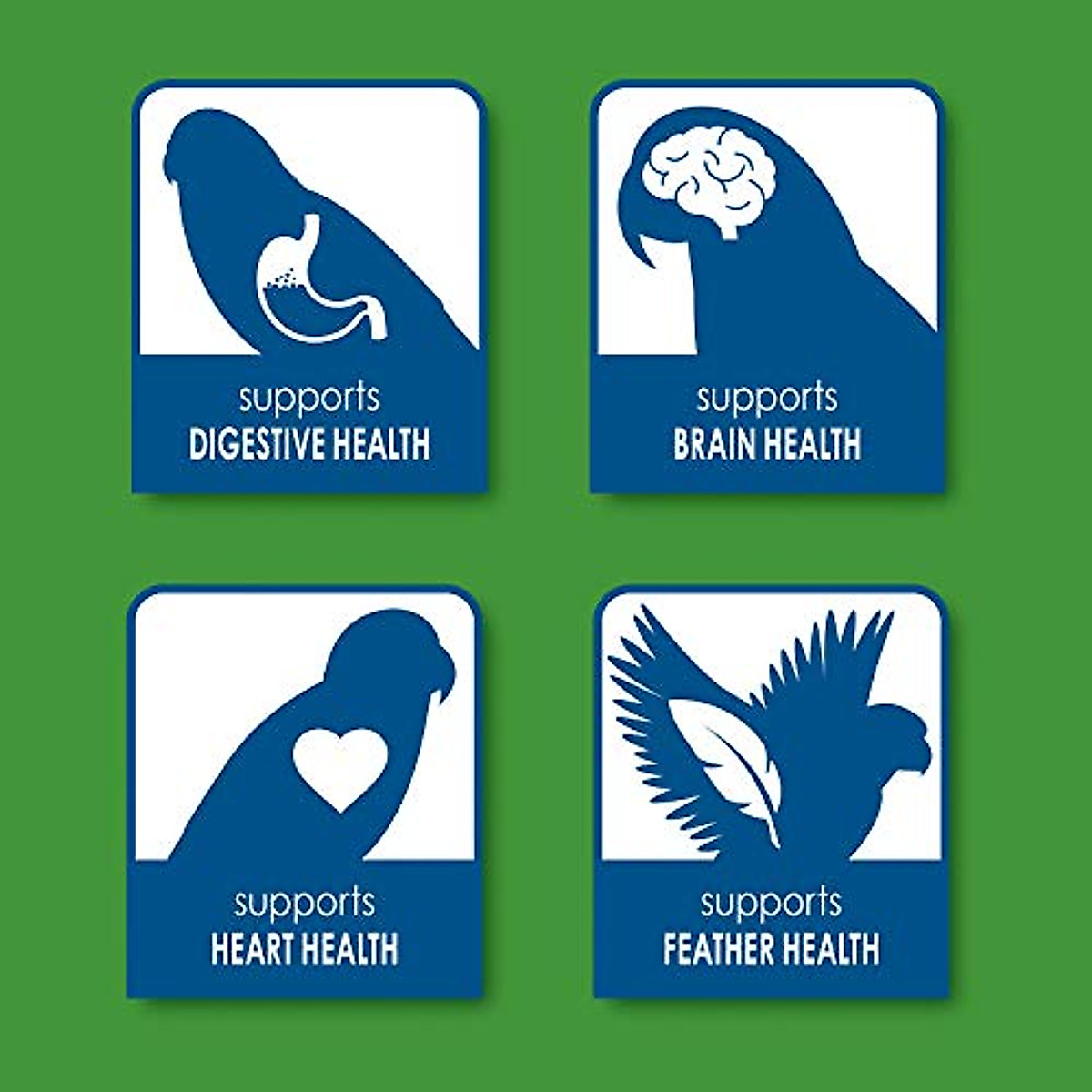 Kaytee Exact Rainbow with Natural Colors Large Parrot